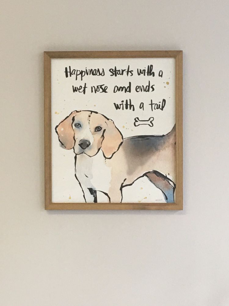 TONYA’S TENDER TOUCH DOG GROOMING - Updated August 2025 - 722 Highwsy ...