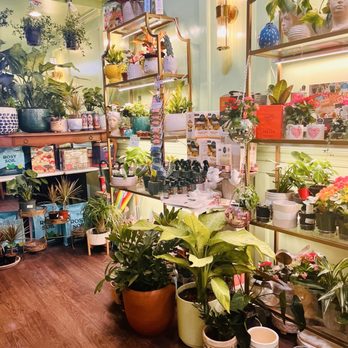 THE GROUND RITTENHOUSE - Updated June 2025 - 158 Photos & 57 Reviews ...