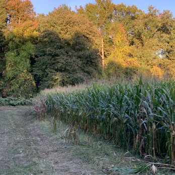 FAIRFIELD FARMS & GREENHOUSES - Updated May 2025 - 20 Photos & 17 ...