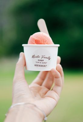 ASATO FAMILY SHOP - Updated July 2024 - 589 Photos & 197 Reviews - 1306 ...