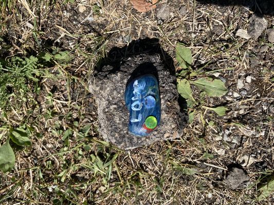 26 MILE NATURE PRESERVE - Updated August 2024 - 33 Photos - 22200 26 ...