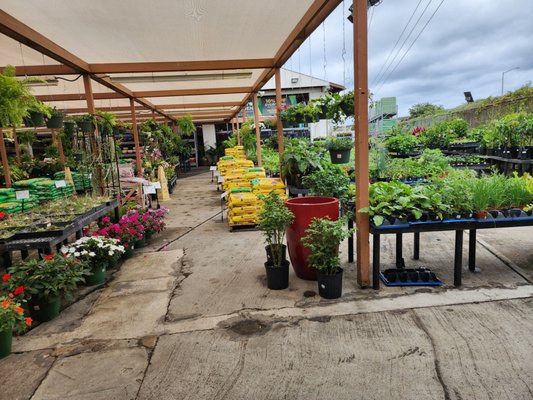 NEX OUTDOOR LIVING CENTER - Updated May 2025 - 127 Photos & 23 Reviews ...