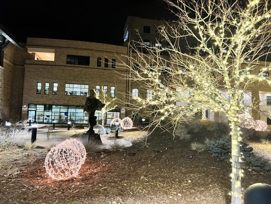 SKY RIDGE MEDICAL CENTER - Updated August 2025 - 73 Photos & 332 ...