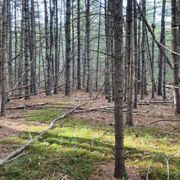 ASSABET RIVER NATIONAL WILDLIFE REFUGE - 62 Photos & 17 Reviews - 680 ...