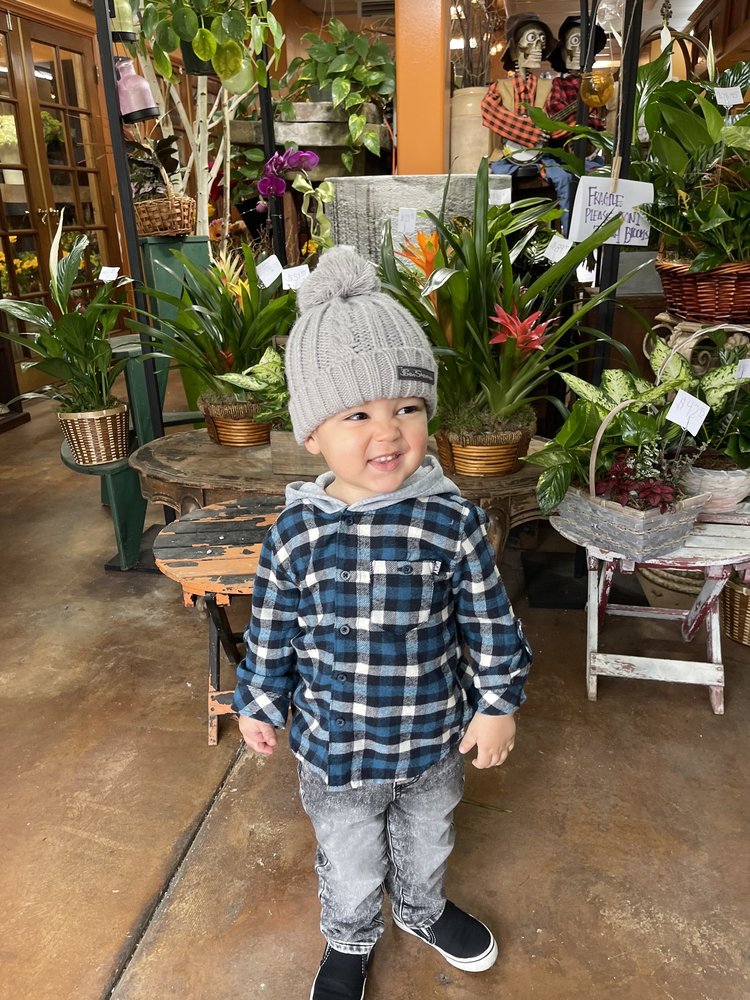 O’MALLEY’S FLOWERS OF SAN DIMAS - 243 Photos & 202 Reviews - 169 West ...