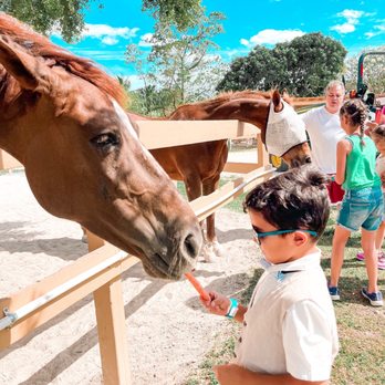 PINTO’S FARM - Updated October 2024 - 462 Photos & 165 Reviews - 14890 ...