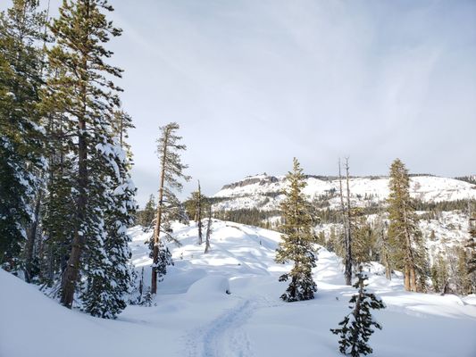 DONNER SUMMIT SNO-PARK - Updated December 2024 - 77 Photos & 43 Reviews ...