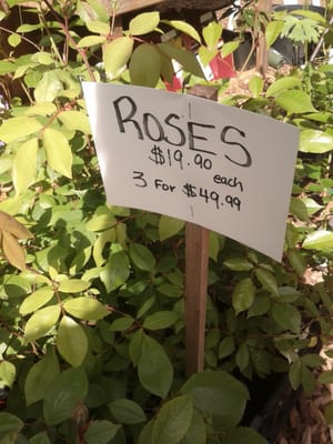 FRASER’S THIMBLE FARMS - Updated January 2026 - 175 Arbutus Road, Salt ...