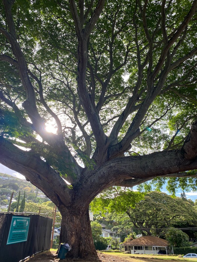 ARCHIE BAKER ON-LEASH DOG PARK - Updated March 2025 - 1959 Makiki ...