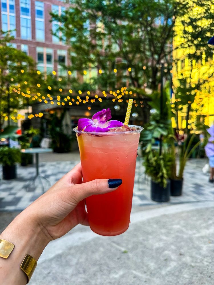 SAGUARO - Updated January 2026 - 15 Photos - 300 Athenaeum St ...