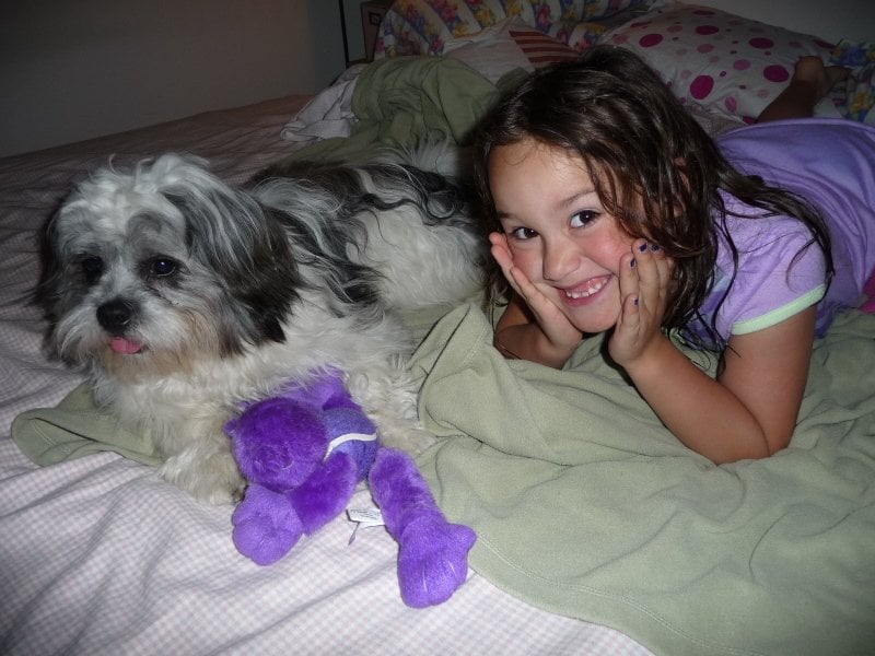 BLAIR CANINE CARE - 35 Photos - Chicago, Illinois - Pet Boarding ...