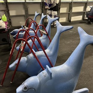 SNO-KING ICE ARENA - KIRKLAND - Updated June 2025 - 23 Photos & 26 ...