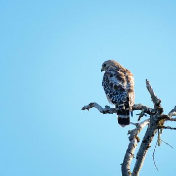 RAGLE RANCH REGIONAL PARK - Updated October 2025 - 65 Photos & 49 ...