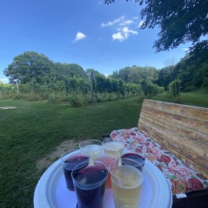 LOST ACRES VINEYARD - Updated June 2025 - 150 Photos & 77 Reviews - 80 Lost Acres Rd, Granby ...