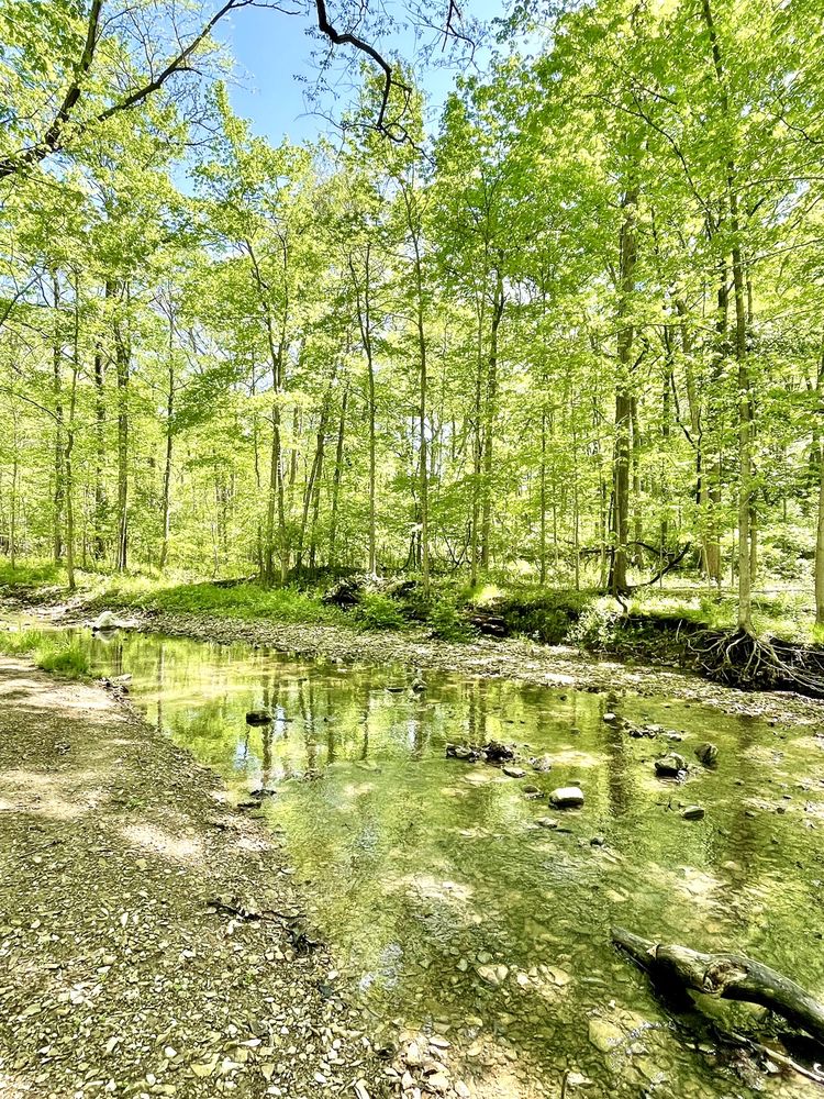 POWDER VALLEY CONSERVATION NATURE CENTER - 199 Photos & 42 Reviews ...