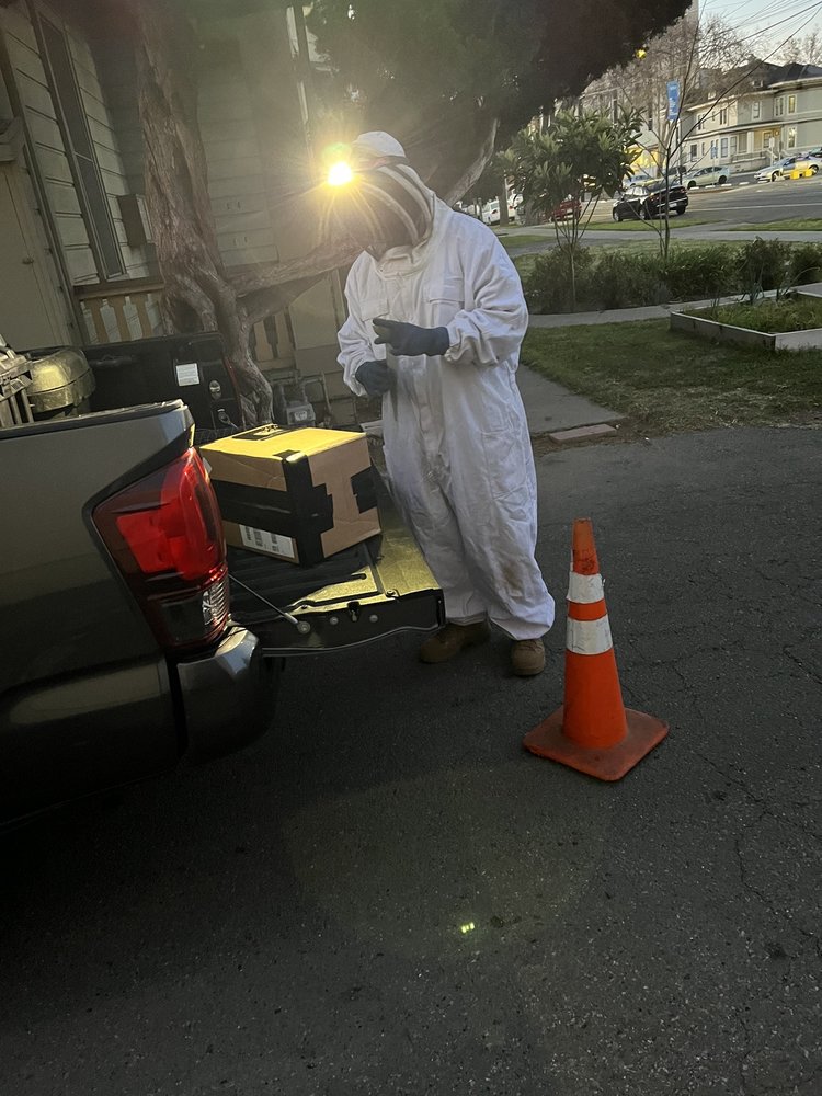 A-PRO-TOO PEST CONTROL - Updated October 2025 - 800 W Grant Line Rd ...