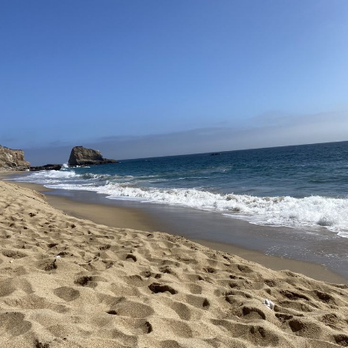 PANTHER BEACH - 443 Photos & 146 Reviews - 10 Miles Hwy 1 N, Santa Cruz ...