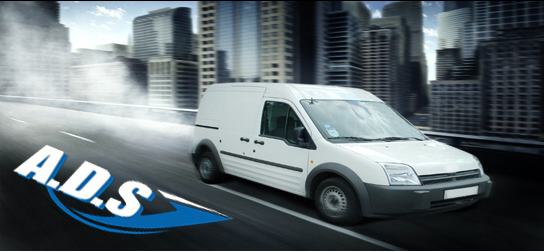 ALTERNATIVE DELIVERY SYSTEMS - Updated May 2024 - 165 Madison Ave, New ...