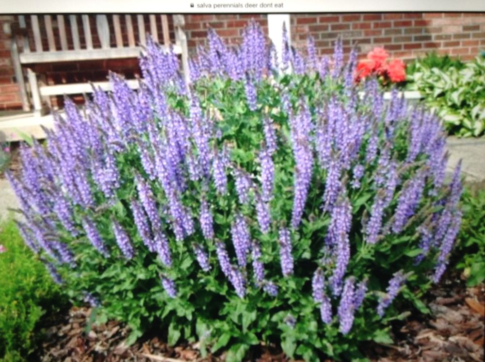 MR GOOD JOB LANDSCAPING - Updated January 2026 - 34 Photos - Cleveland ...