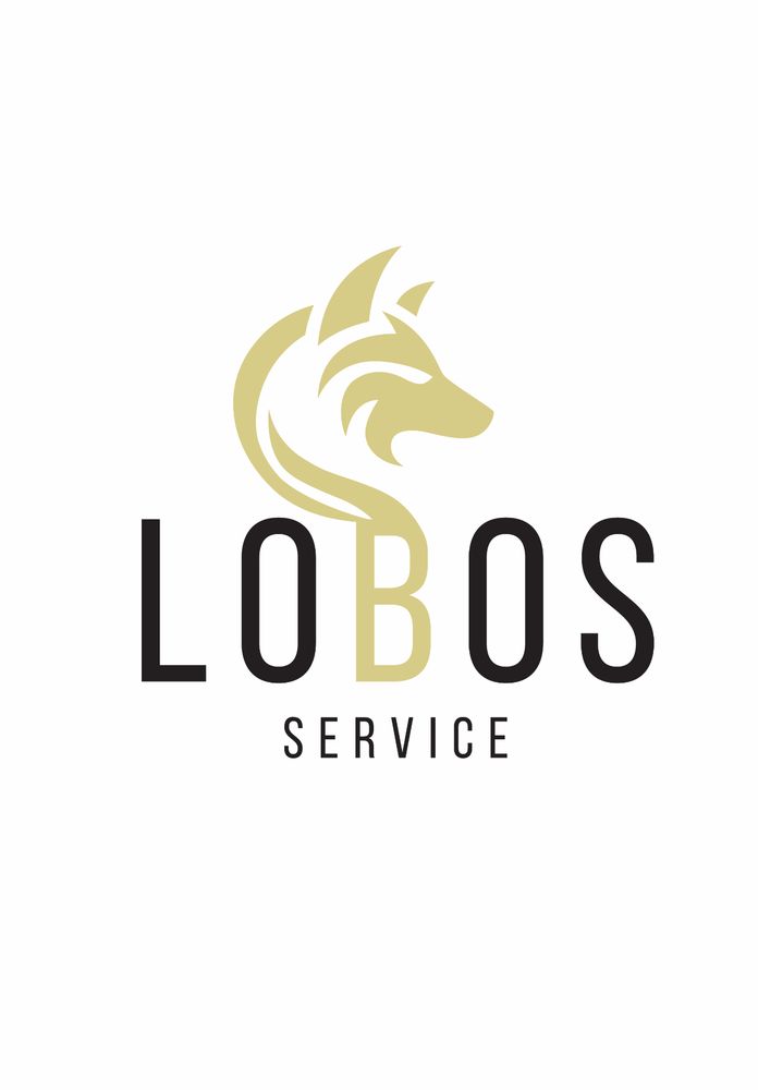 LOBOS SERVICE - Updated May 2024 - Arlington, Texas - Painters - Phone ...