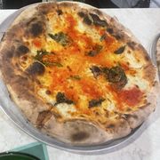 CAVOLO - Updated October 2025 - 35 Photos & 17 Reviews - 54 N Broad St ...