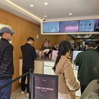 MOLLY TEA - Updated May 2025 - 183 Photos & 76 Reviews - 63 Mott St ...