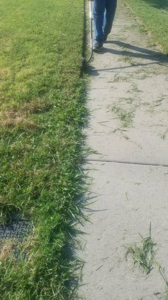 GATOR GRIME & GRASS - Updated April 2024 - Lewisville, Texas - Pressure ...