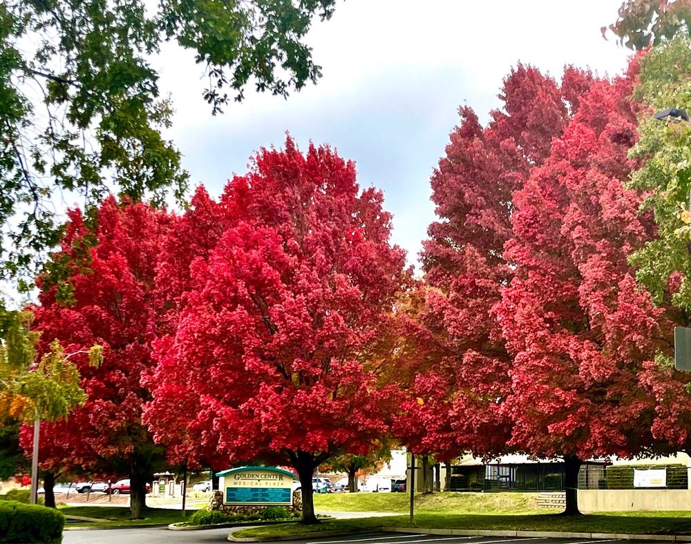 CEDAR EYE CENTER MEDICAL GROUP - Updated October 2025 - 72 Reviews ...