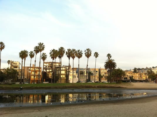 DEL REY LAGOON - Updated June 2025 - 117 Photos & 48 Reviews - 6660 ...