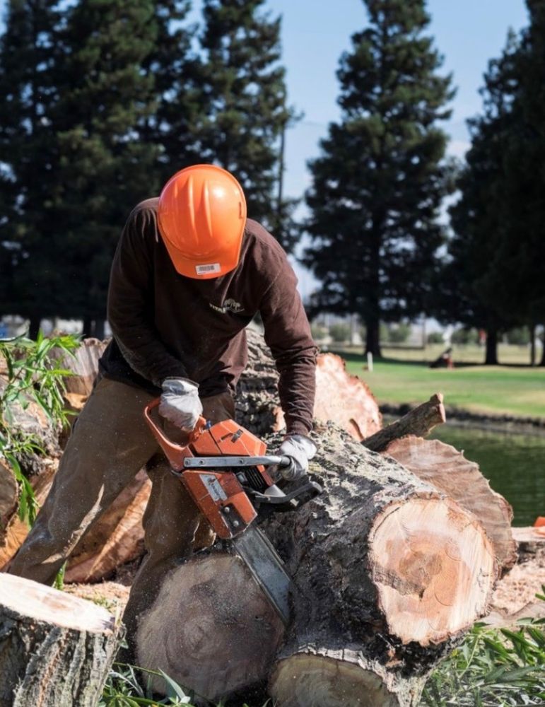 JIMMY’S TREE SERVICE - Updated May 2025 - Redding, California - Tree ...