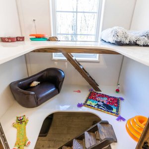 MORRIS ANIMAL INN - Updated April 2025 - 90 Photos & 102 Reviews - 120 ...