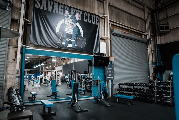 SAVAGE FIT CLUB - Updated November 2025 - 35 Photos & 15 Reviews - 1923 ...