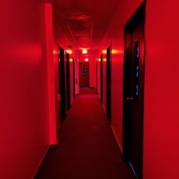 ADONIS HEALTH CLUB - Updated September 2025 - 20 Photos & 24 Reviews ...