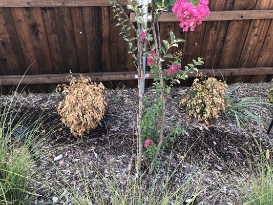 ANDY’S SPRINKLER, DRAINAGE & LIGHTING - Updated October 2025 - 31 ...