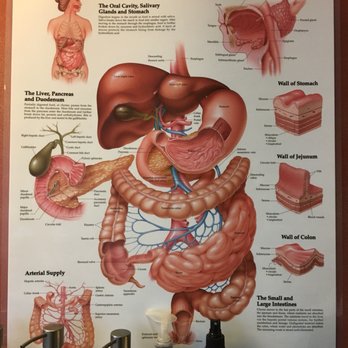 TUMMY TEMPLE - Updated December 2025 - 69 Photos & 80 Reviews - 7812 ...