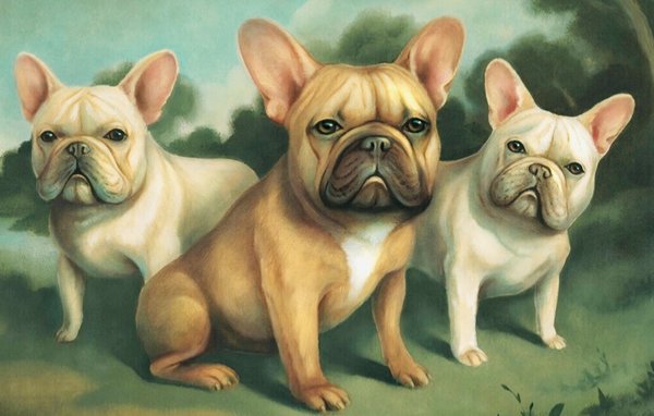 AAA MURRIETA INSURANCE AND MEMBER SERVICES - Updated December 2025 - 19 ...