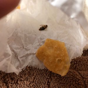 FIRST WOK CHINESE RESTAURANT - 106 Photos & 79 Reviews - 295 Princeton ...