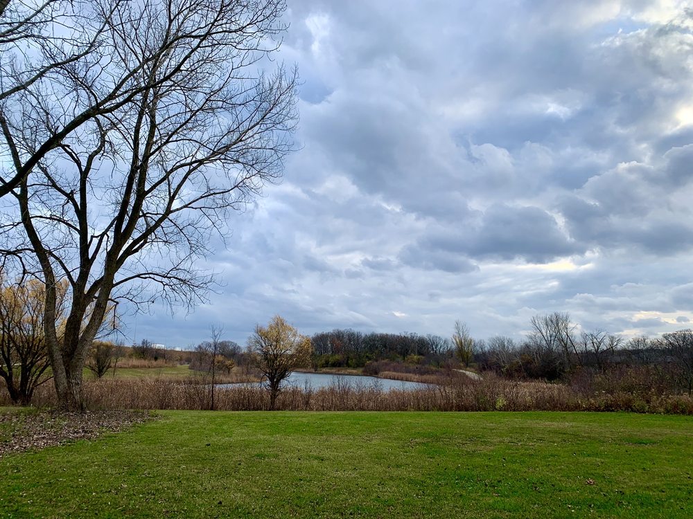 OLD SCHOOL FOREST PRESERVE - Updated November 2024 - 81 Photos & 10 ...