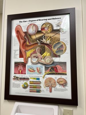 EVMS EAR, NOSE & THROAT SURGEONS - Updated October 2025 - 600 Gresham ...