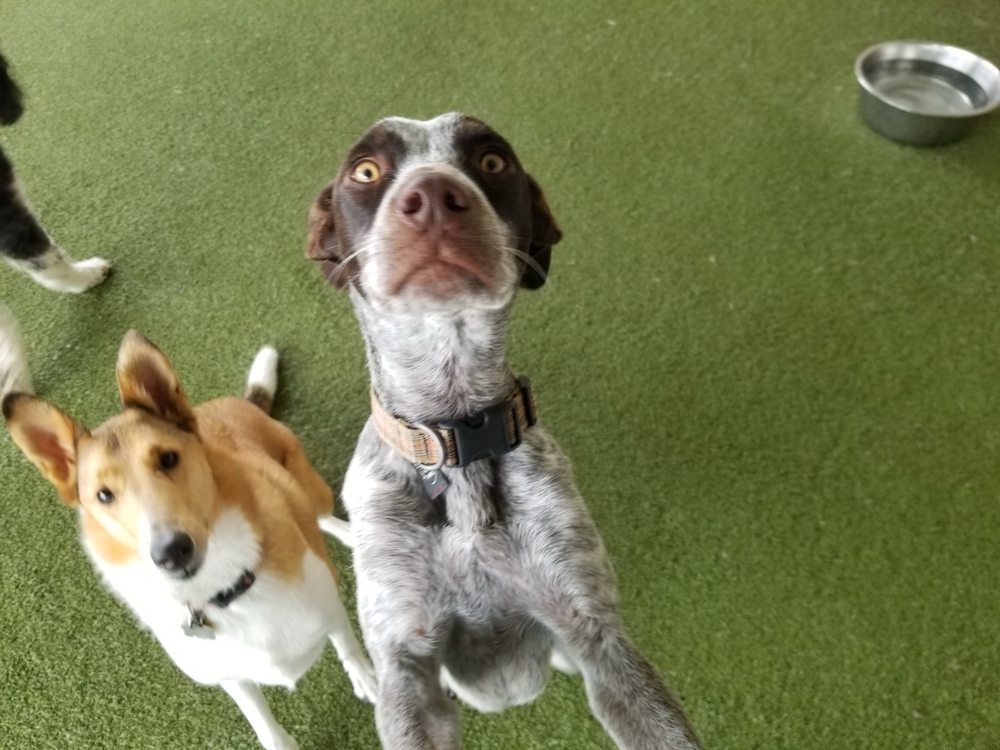 WAGVILLE - Updated August 2025 - 168 Photos & 303 Reviews - 2400 N San ...