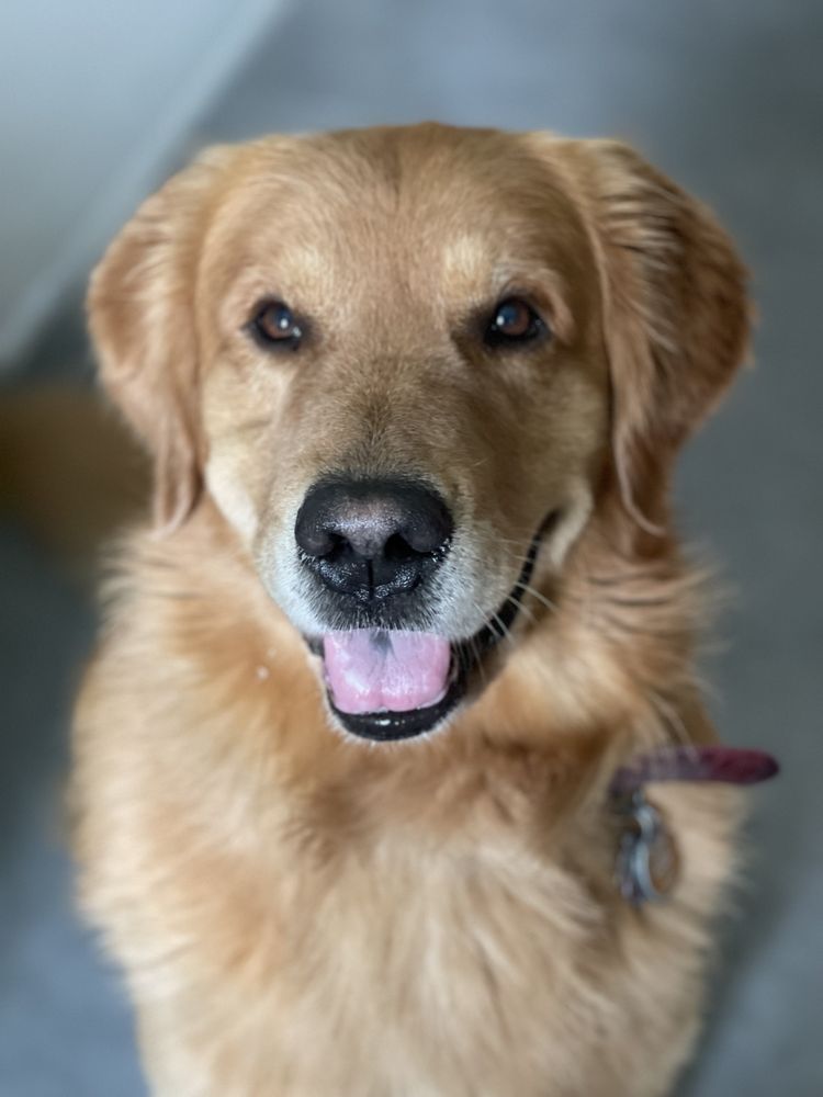 FALLS ROAD ANIMAL HOSPITAL - Updated August 2024 - 43 Photos & 276 ...