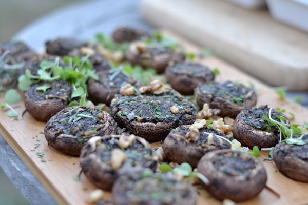 THE FOOD BENDER - Updated April 2024 - 47 Photos - Santa Cruz ...