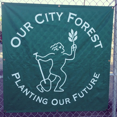 OUR CITY FOREST - Updated December 2025 - 14 Photos & 22 Reviews - 1195 ...
