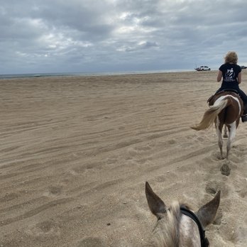 EQUINE ADVENTURES - Updated September 2025 - 69 Photos & 42 Reviews ...