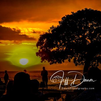 BEACH TREE RESTAURANT BAR AND LOUNGE - Updated July 2025 - 592 Photos ...