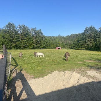 SANCTUARY DAIRY FARM ICE CREAM - Updated January 2026 - 52 Photos & 66 ...