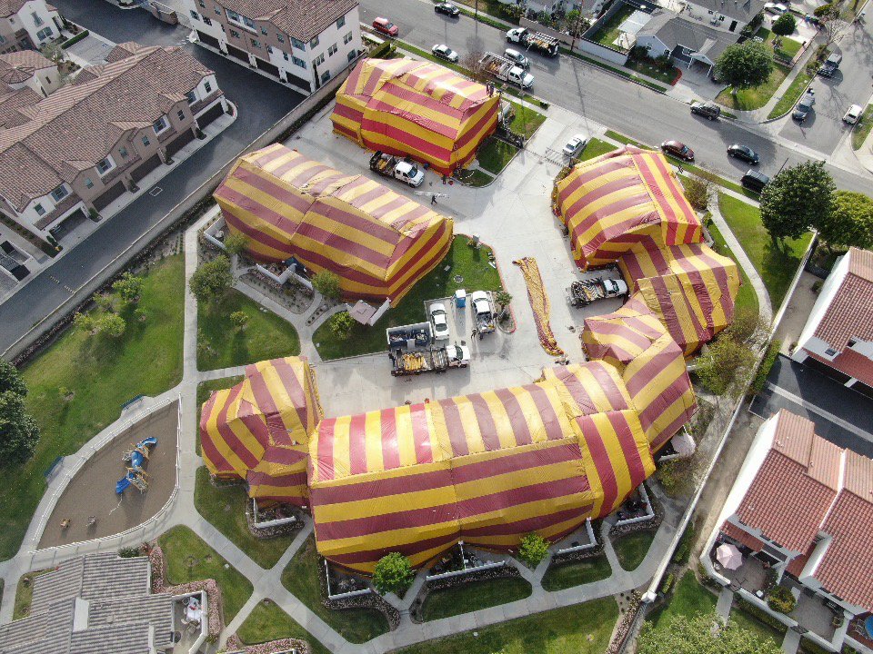 CLEAN CUT TERMITE - 33 Photos & 83 Reviews - Pest Control - 14271 ...