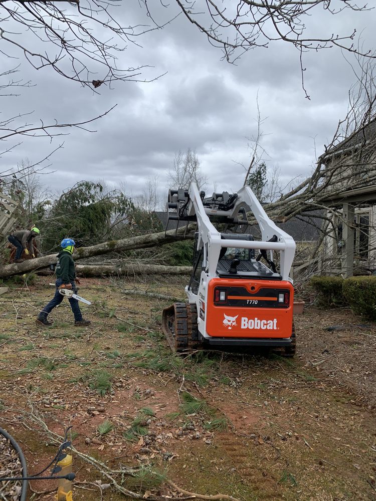 CASTOR TREE SERVICE & LANDSCAPING - Updated August 2025 - Atlanta ...