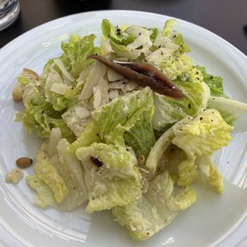 Cafe Citti - Trusted Since 1990 - Updated July 2025 - 372 Photos - 648 ...