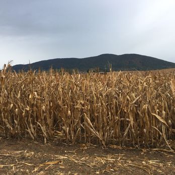 JETER FARM - Updated October 2025 - 181 Blue Ridge Blvd, Roanoke ...